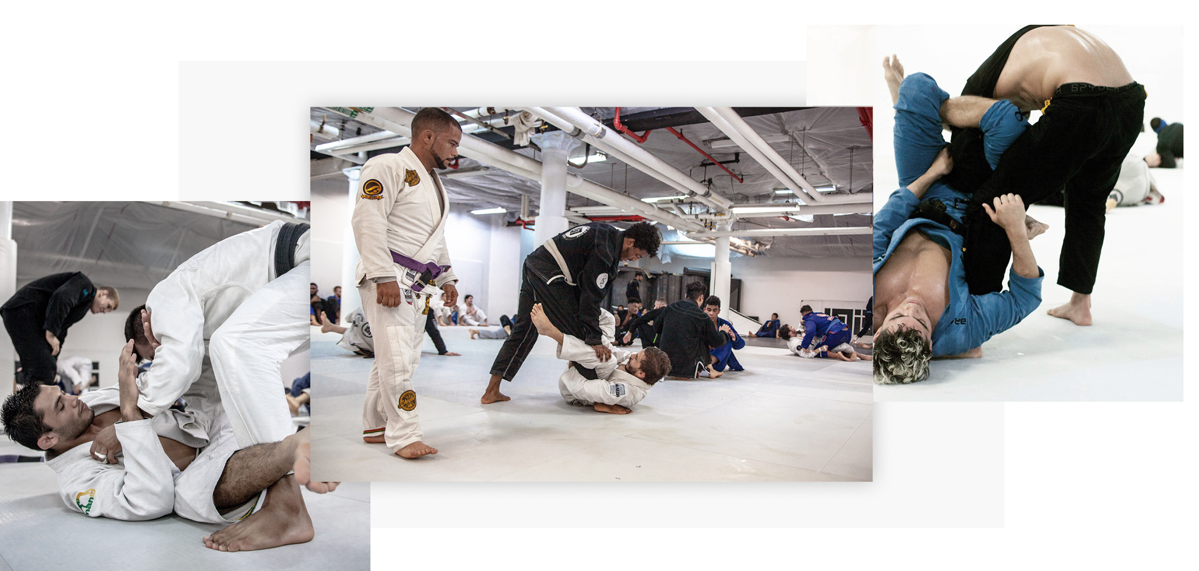 Unity Jiu Jitsu Online